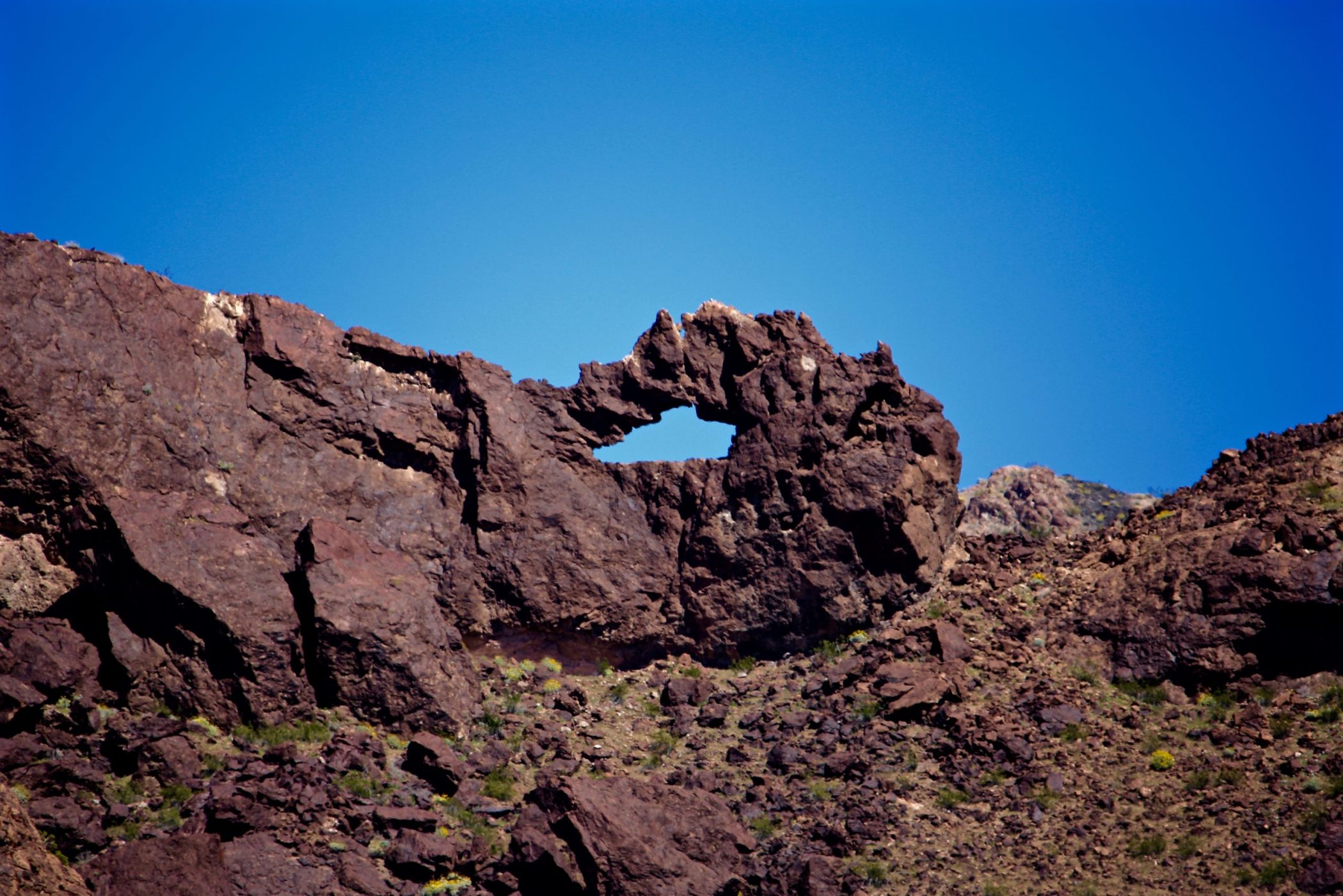 Photo & Video Gallery | London Bridge Jet Boat Tours